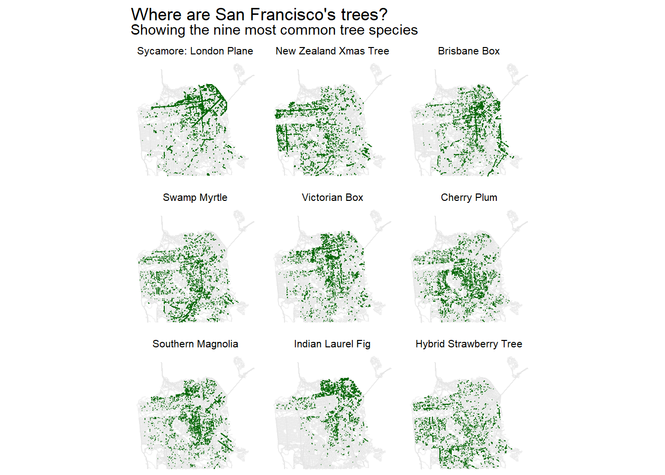 Mapping San Francisco's trees · Alex Cookson